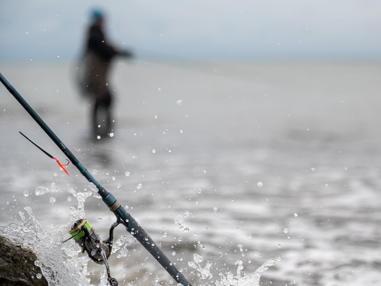 Aava Fishing | Official Site