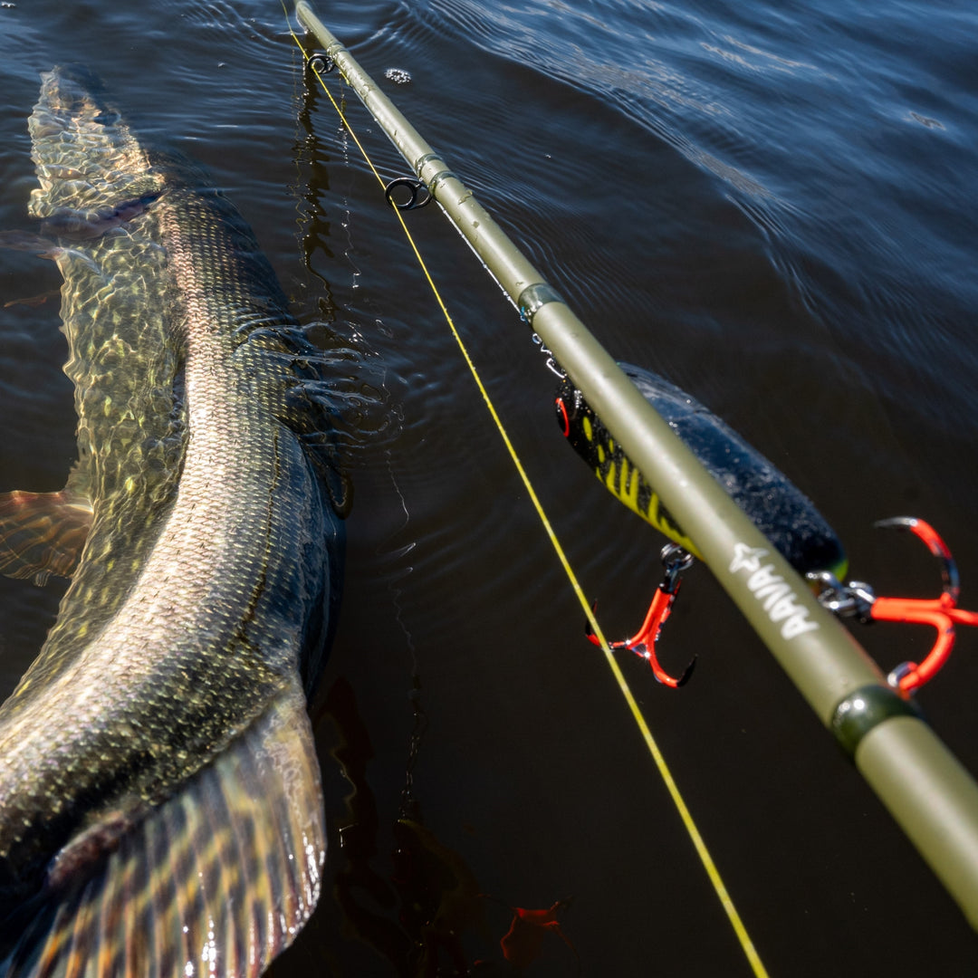 Aava Fishing | Official Site